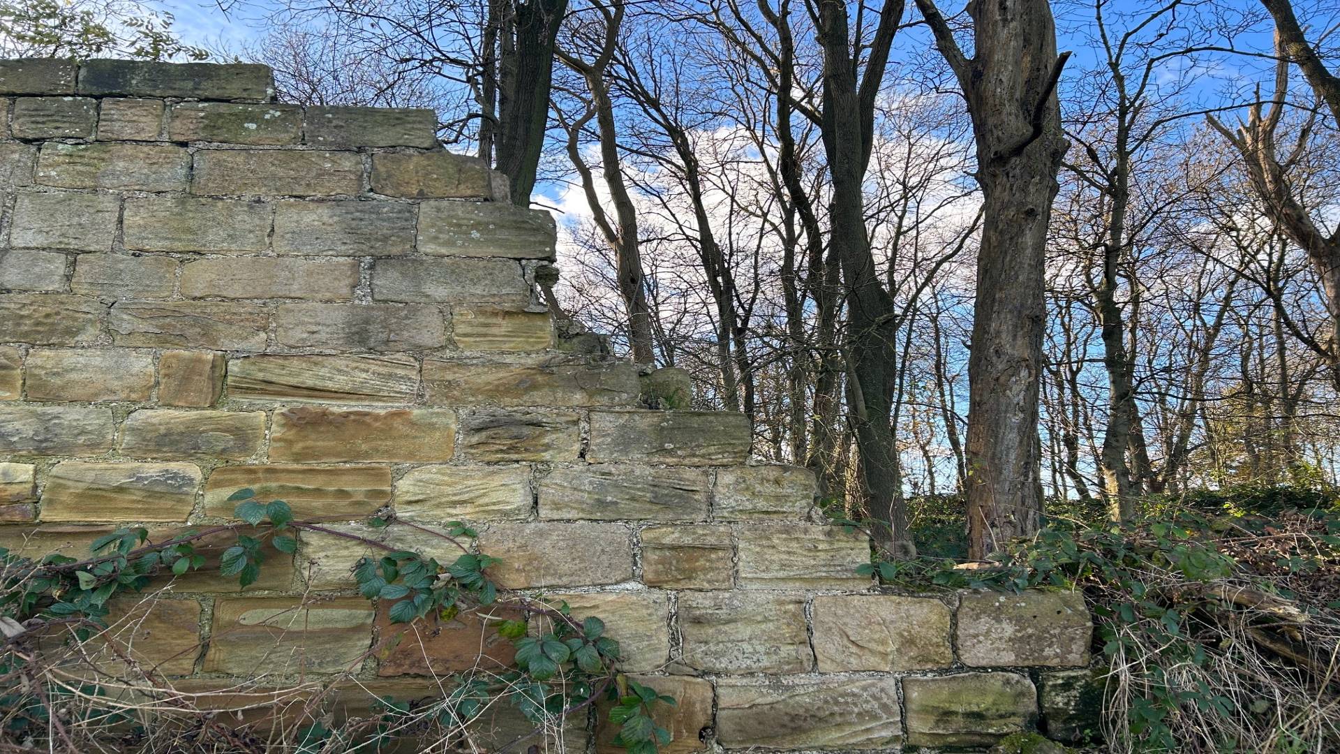 History Of Waterton's Wall | The Waterton Park Hotel